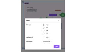 Your Ultimate Guide on How To Draw in Notion - Focused Bee